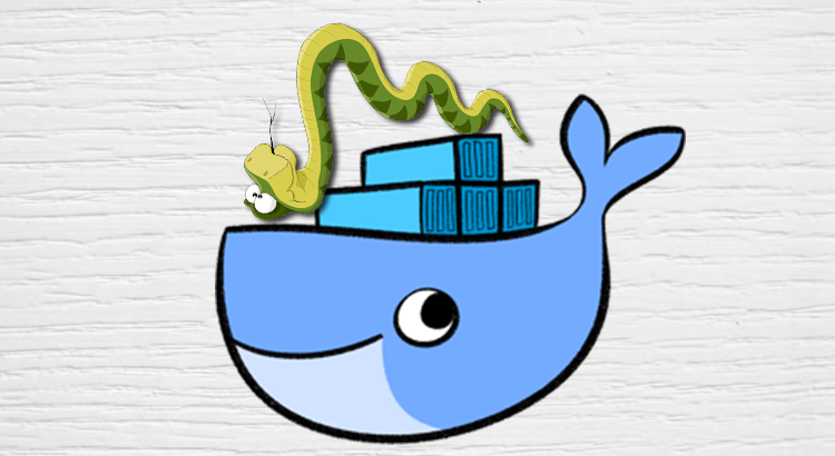 Running Python Script On Docker Reversenote